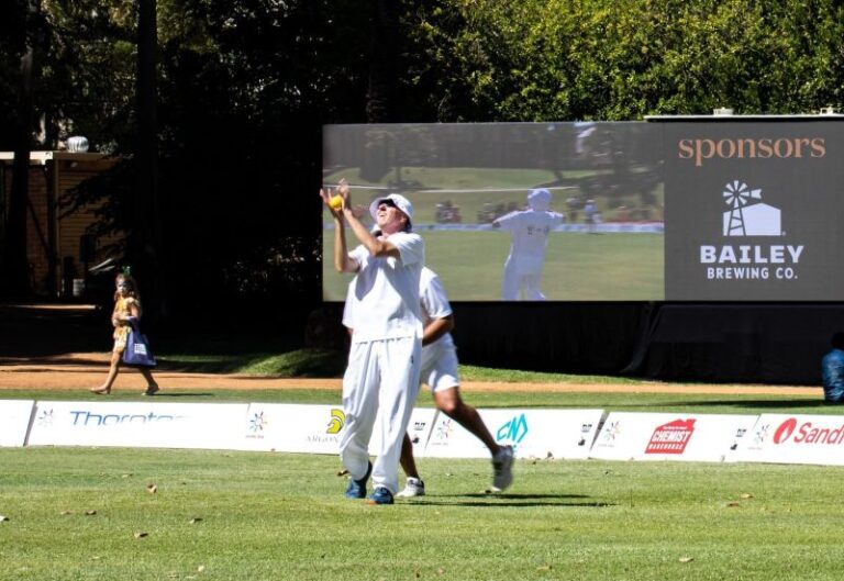Ultimate Backyard Cricket match - Craig Mostyn Group