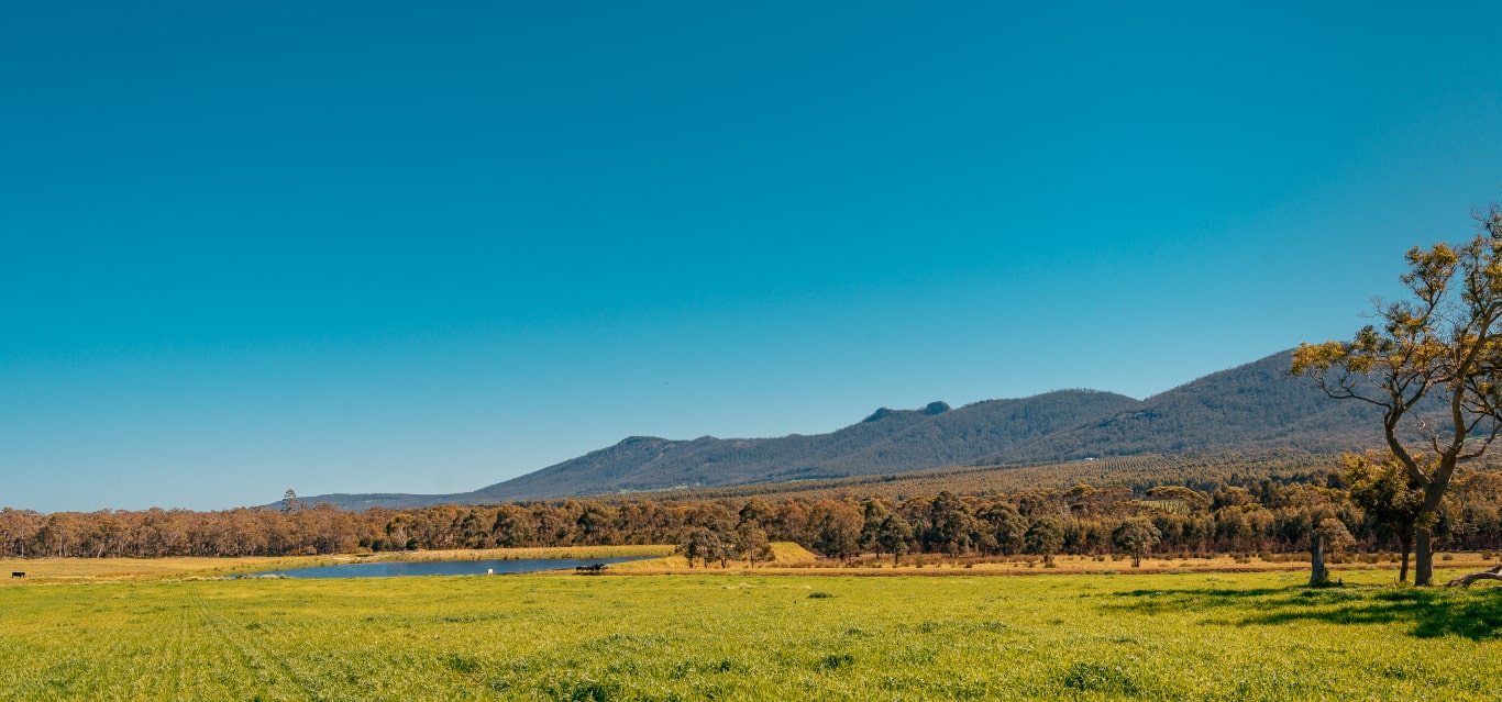 Home - Craig Mostyn Group